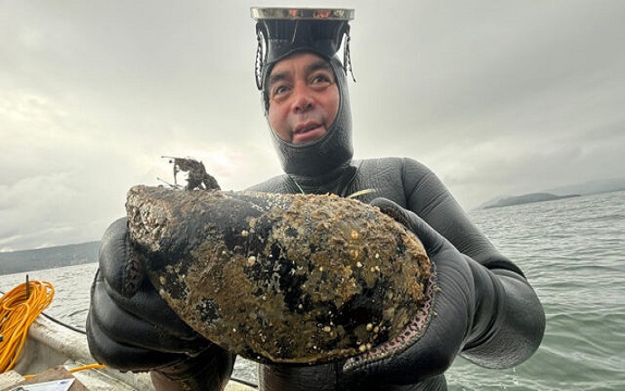 “Podría ser el más grande del mundo”: Destino inesperado en el hallazgo ...