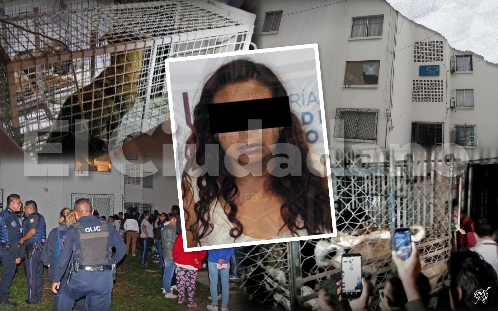 "La Mataperros" aniquiló imagen de Bosques de San Sebastián