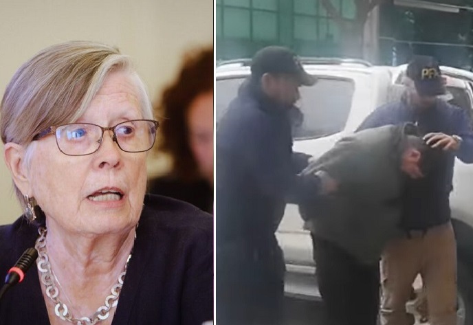 Mercedes Bulnes, diputada del Maule, valora la captura de Agustín O ...