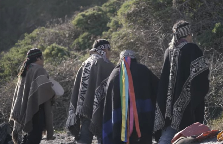 Rescatando la cosmovisión mapuche: La historia de un educador en ...