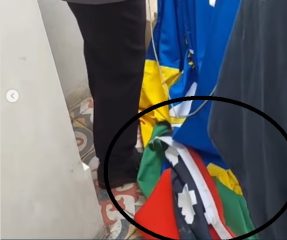 “La wenüfoye”: La historia de la bandera mapuche tras polémica de Mario ...