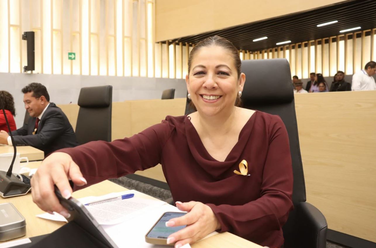 Laura Artemisa se deslinda de propuesta de Roberto Zataraín de ...