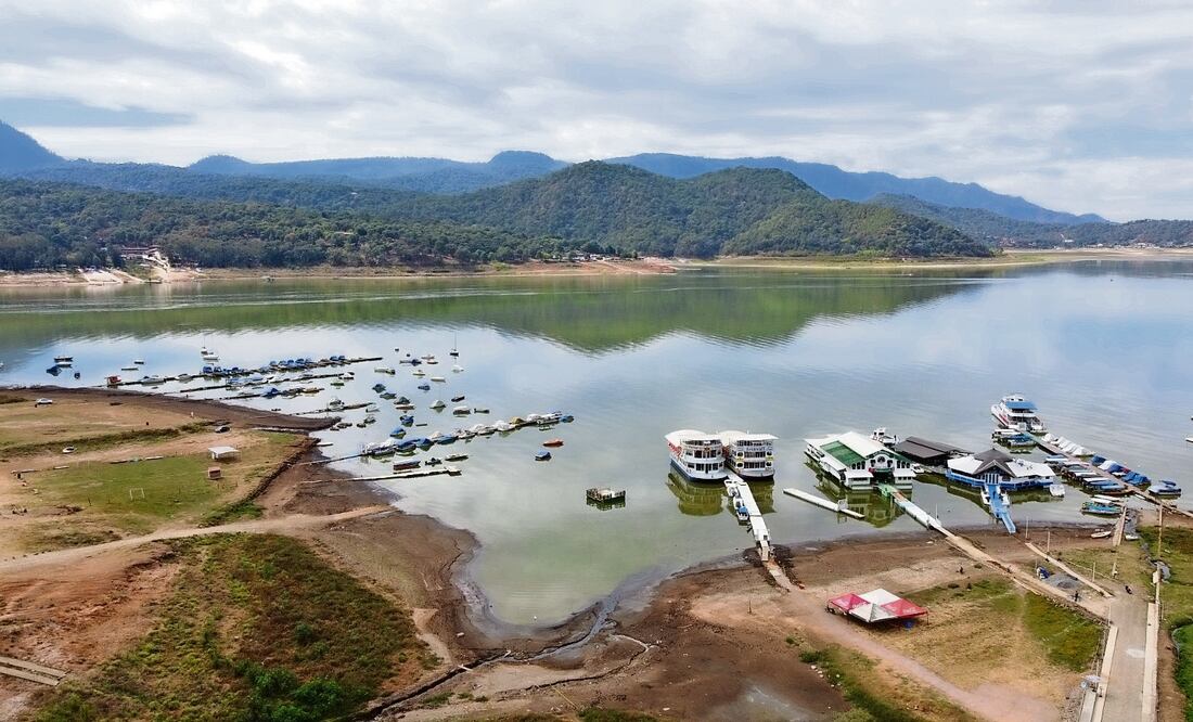 900 mil árboles serán plantados para recuperar los bosques del Sistema ...