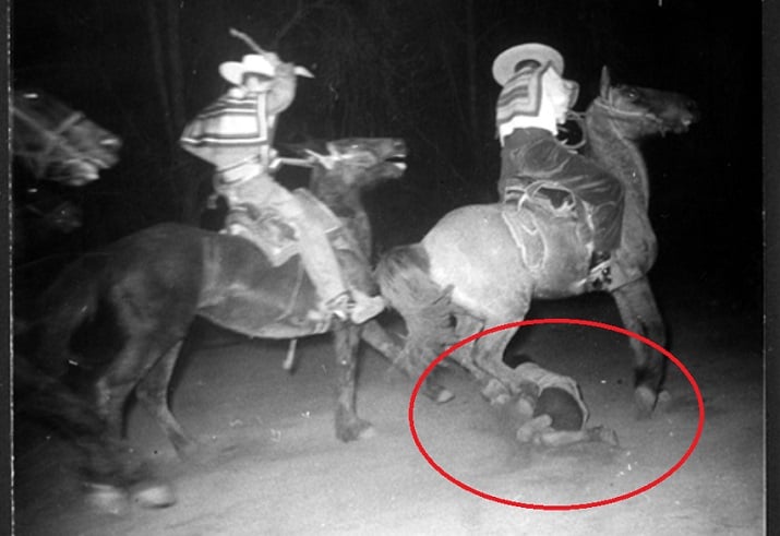 ¿Tradición, cultura y deporte? Las brutales prácticas patronales que ...